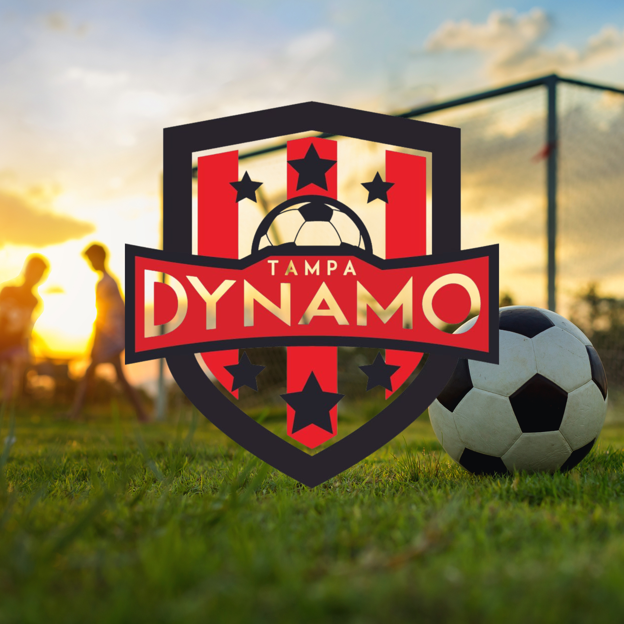 Dynamo Soccer – VIPease Customs